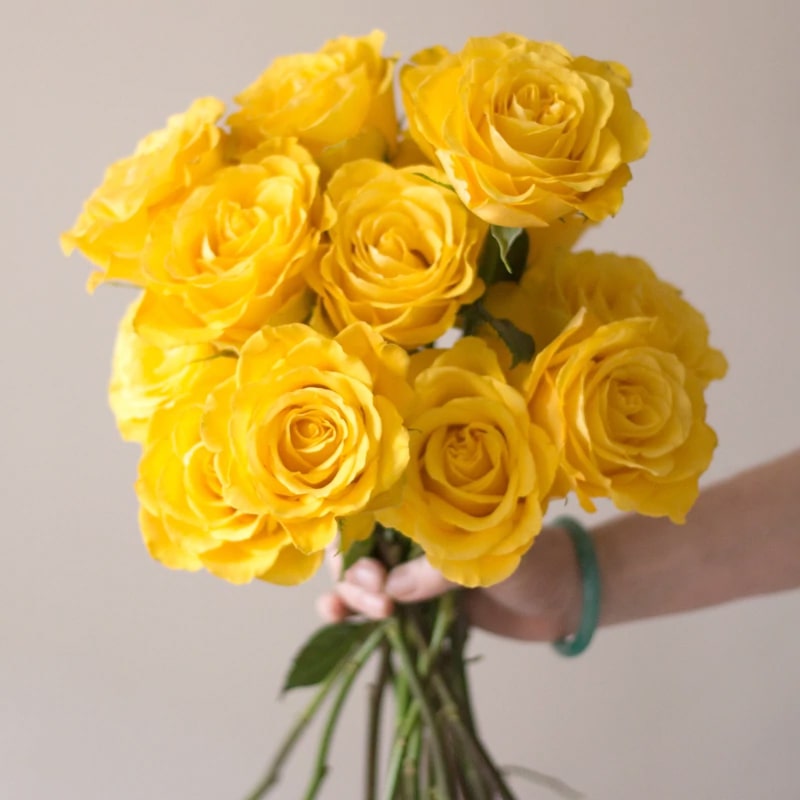 Yellow Roses Meaning Guide The Friendship Flower Rose Meaning